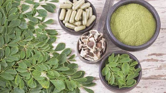 Moringa-Superfood