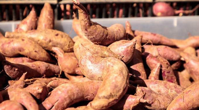 Health Benefits of Yams